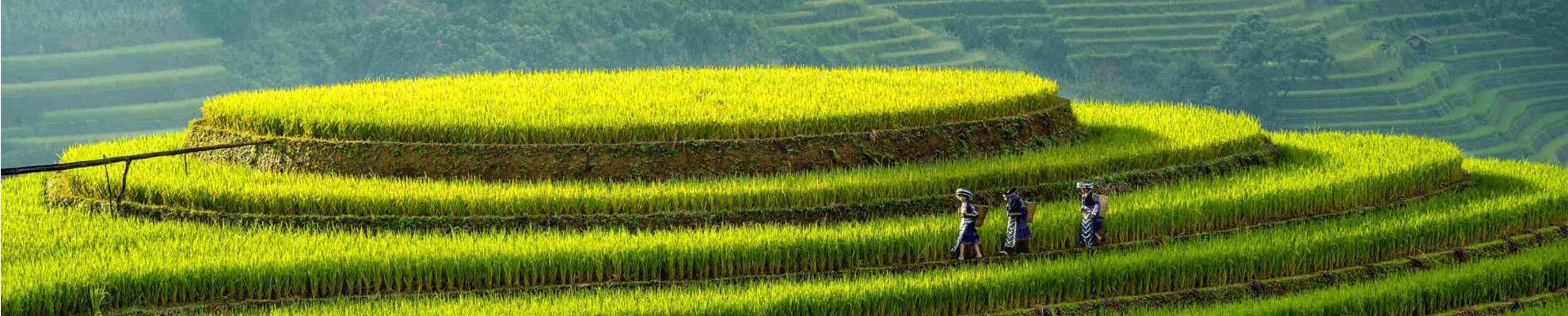 Sapa Travel Experience | News | Tips | Incredible Asia Journeys